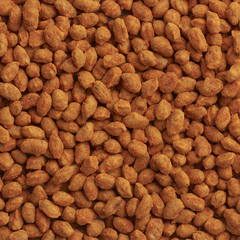 בוטן-היט – NUTSTATION BY HAMAMA