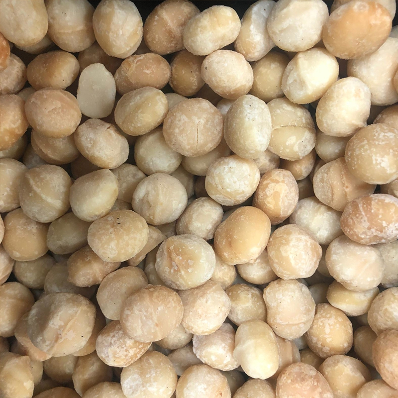 מקדמיה – NUTSTATION BY HAMAMA